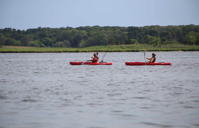 A Roadmap to Protect 250 Square Miles of the Peconic Watershed ...