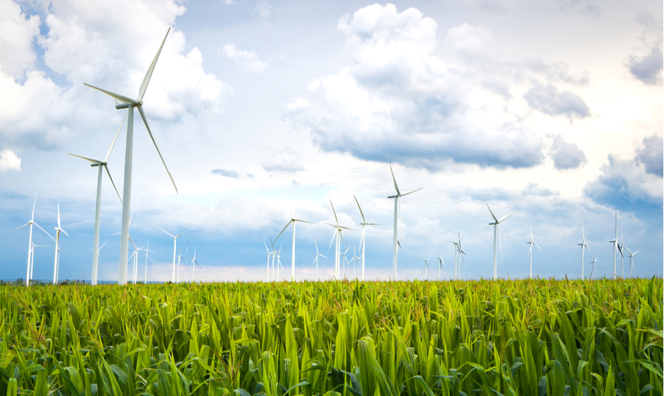 Wind and Solar Are the New Cash Crops - DredgeWire : DredgeWire