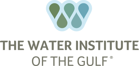 Water Institute joins team selected to develop Virginia's first Coastal ...