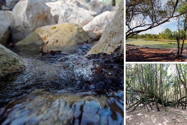 Gov. DeSantis announces $42.9M state grant to clean up Lakeland's Lake ...