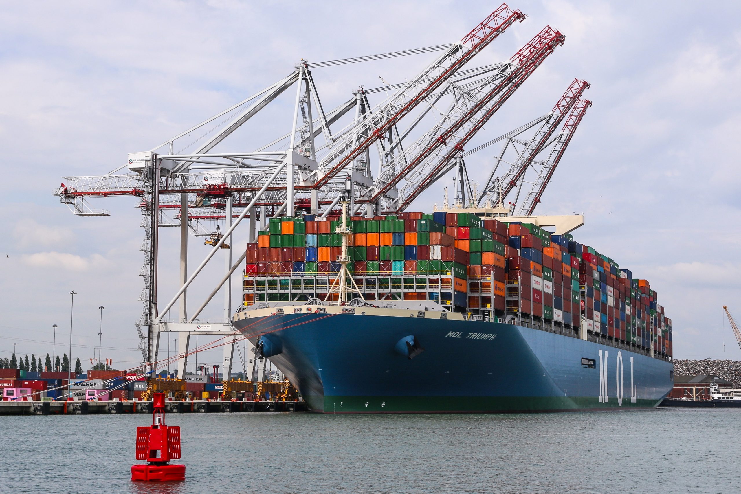 ABP transfers ownership of natural woodland to Hull City Council ...