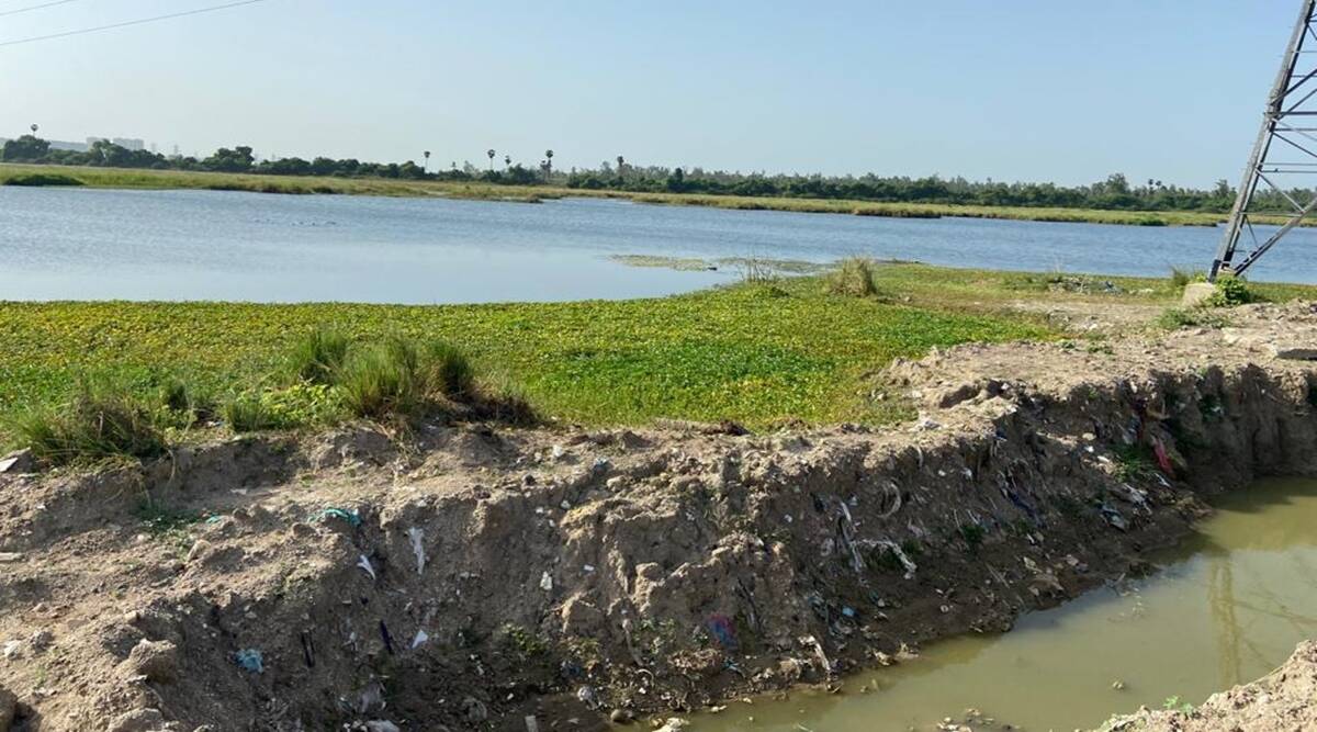 Chennai: Rotary Club of Madras begins restoration of Sithalapakkam lake ...