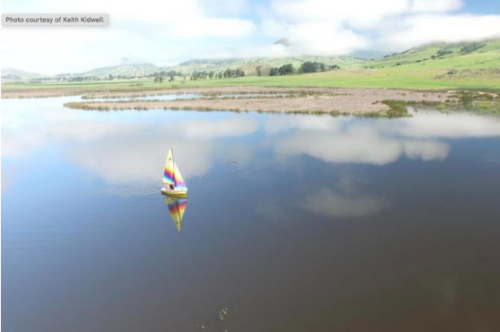 Laguna Lake restoration begins, expected to boost water quality and ...