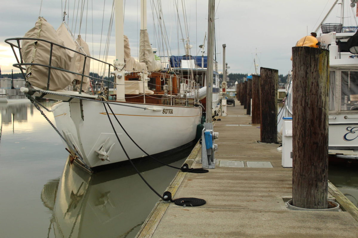 Marina digs into dredging proposal - DredgeWire : DredgeWire