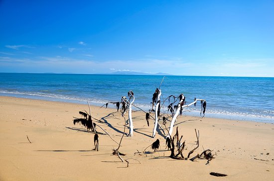 Sand reprofiling to reinstate public access to Mystic Sands beach ...