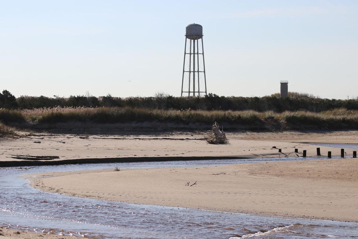 Higbee Beach plans called an improvement for people and wildlife ...