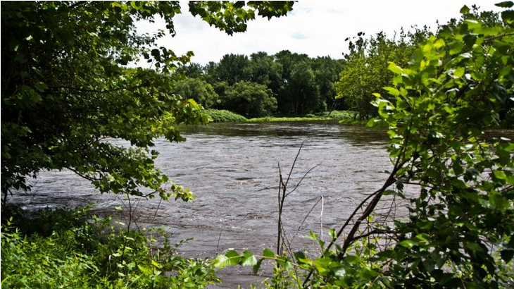 Delaware outlines plans to restore the state’s wetlands - DredgeWire ...