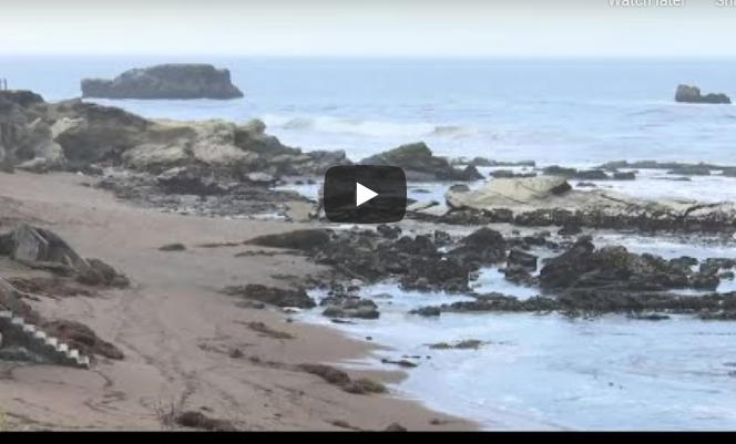 Construction project begins in Shell Beach to help restore coastal ...