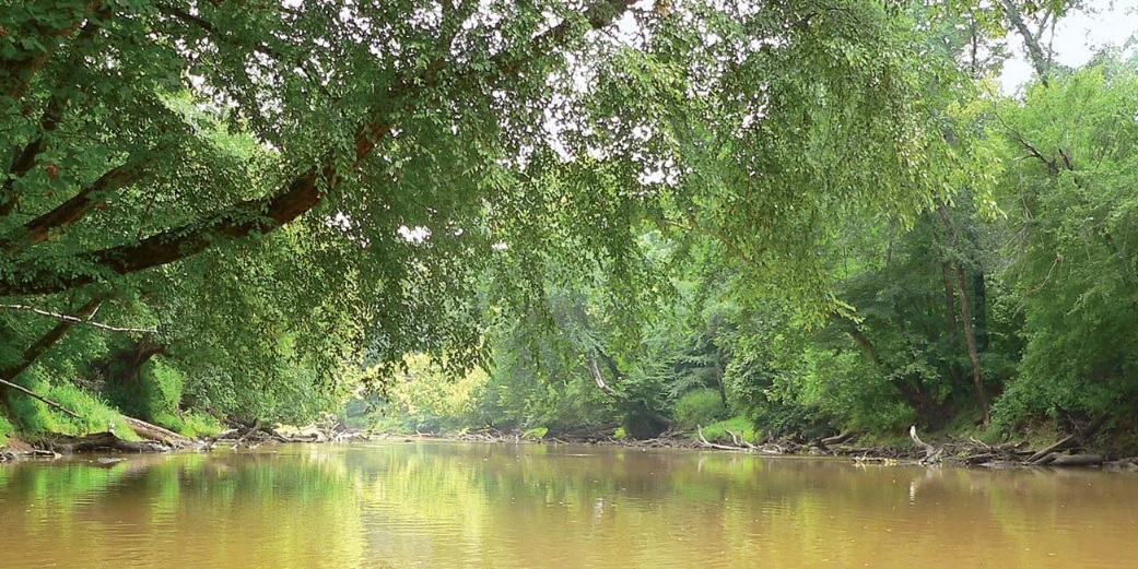 Neuse River Basin feasibility study seeks public comments - DredgeWire ...