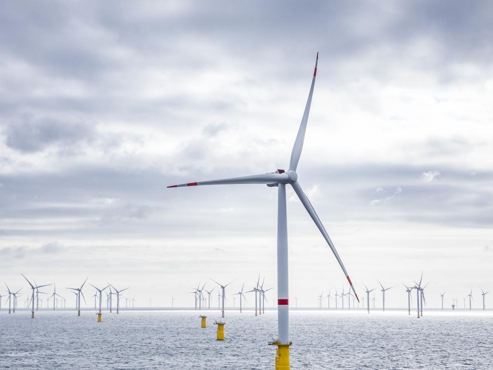 Thistle Wind Partners successfully secured the rights to develop two ...