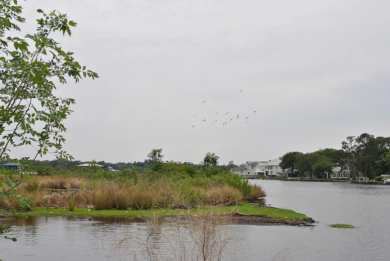 Corps awards contract for Big Fishweir aquatic environment restoration ...