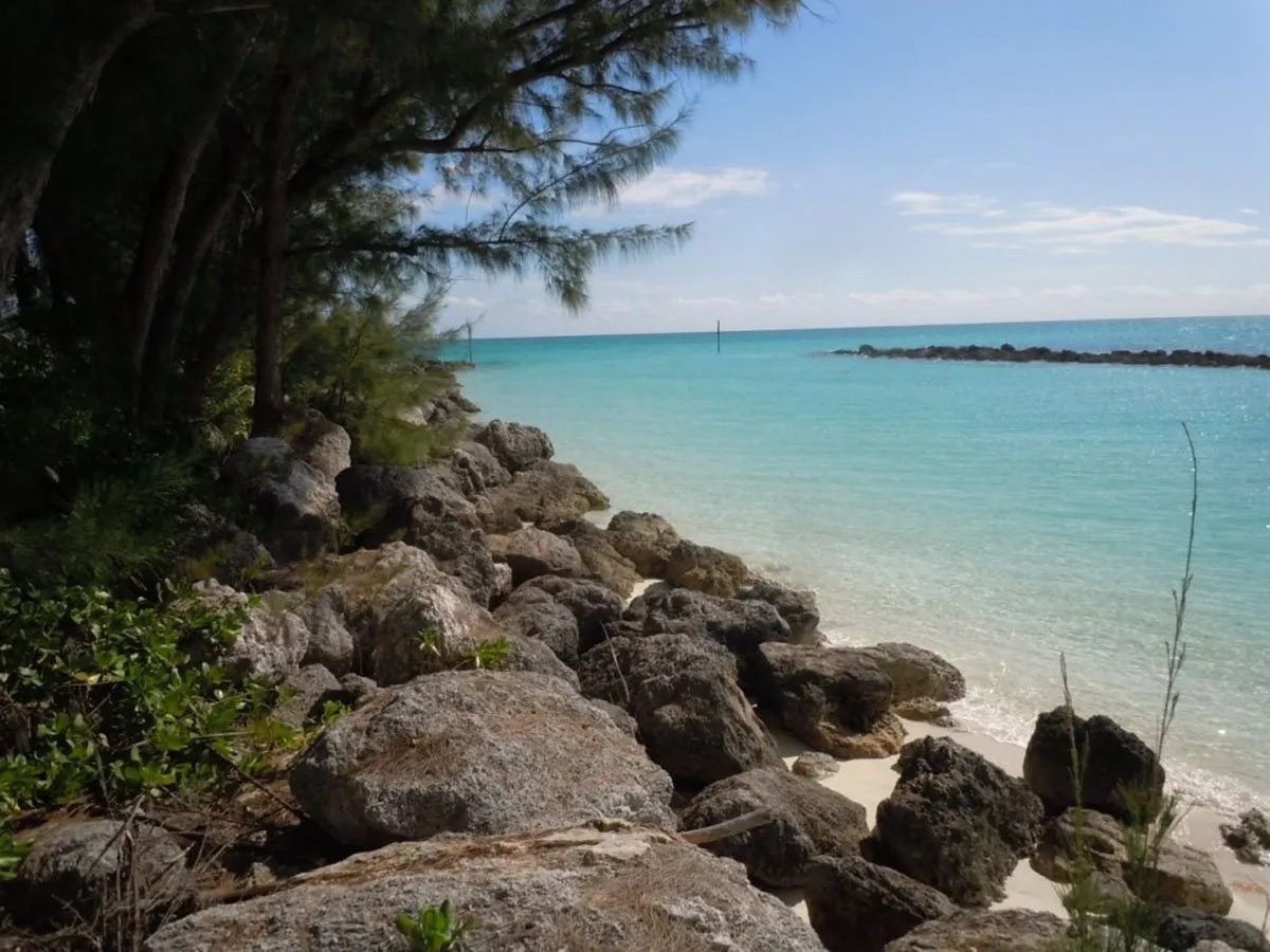 Long-awaited dredging begins at FortuneBay - DredgeWire : DredgeWire