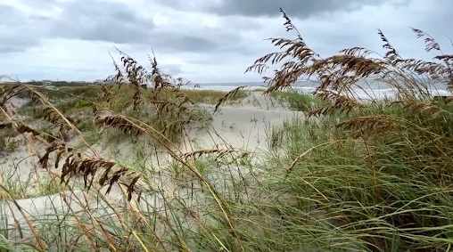 Nearshore placement project at Folly Beach proves to be successful ...