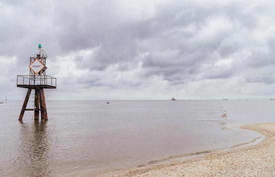 Beach work to continue this fall on Del. Bay and at Seashore State Park ...