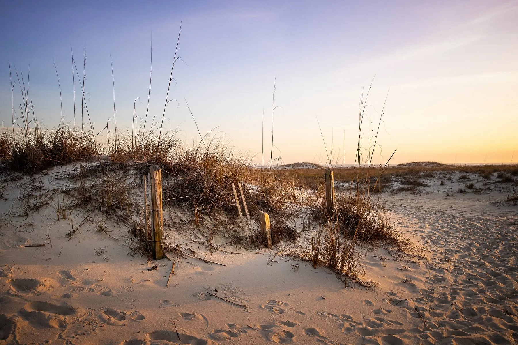 Ivey Praises Last Round of NFWF-Funded Projects - DredgeWire : DredgeWire