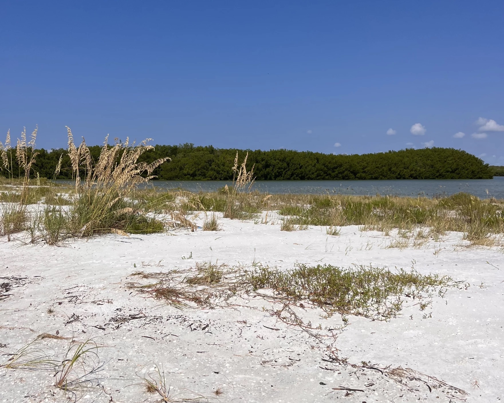 Two Lee County beaches to get new sand; no date for reopening ...