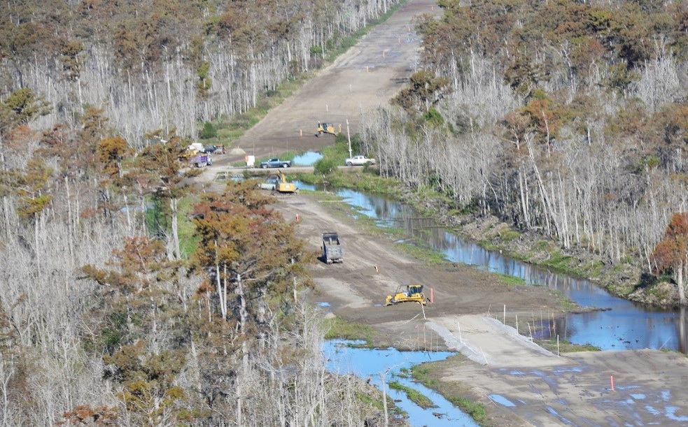 River Reintroduction into Maurepas Swamp to help revitalize wetlands ...