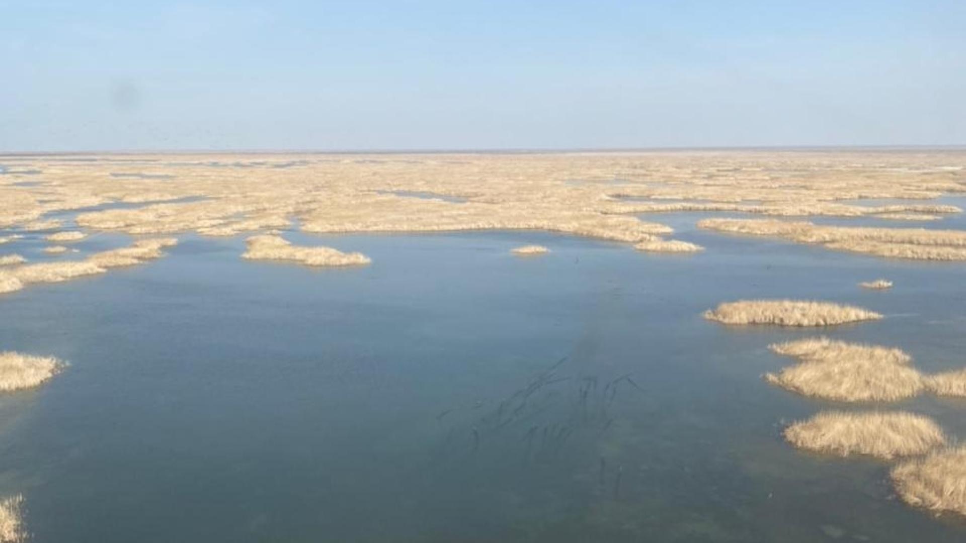 Shifting Sands: An Ongoing Challenge - DredgeWire : DredgeWire