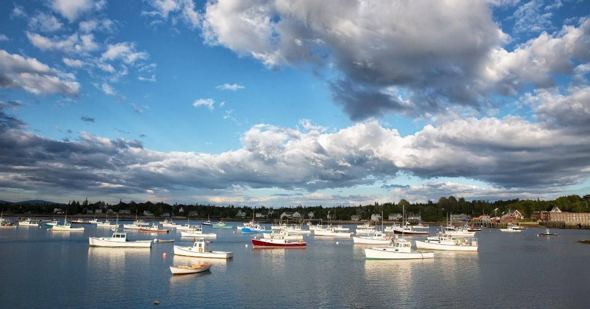 Southwest Harbor marina dredge scheduled - DredgeWire : DredgeWire
