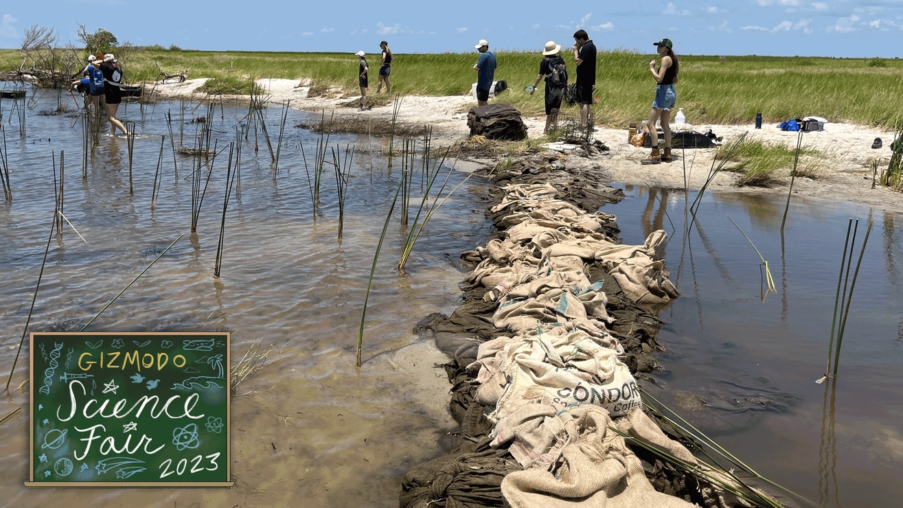 Restoring Louisiana’s Shoreline, One Glass Bottle at a Time ...