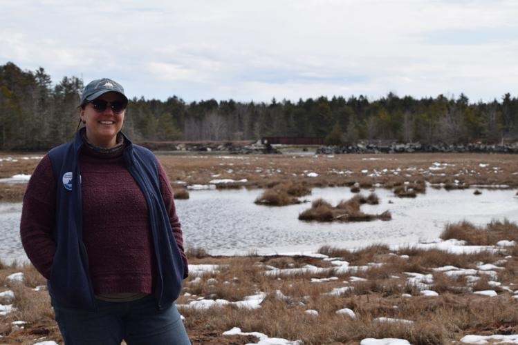 Salt marsh restoration effort looks to past and future - DredgeWire ...