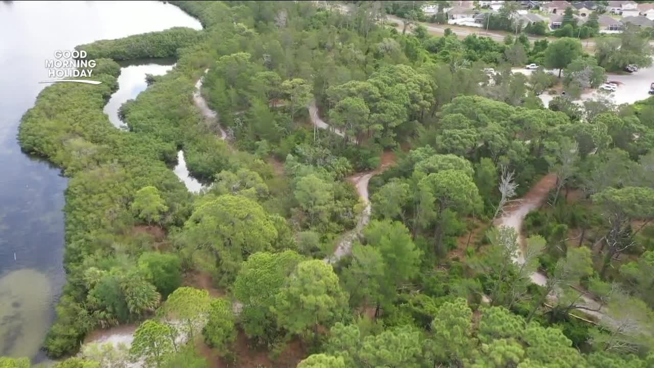 Plans to dredge Key Vista Park are on the way - DredgeWire : DredgeWire