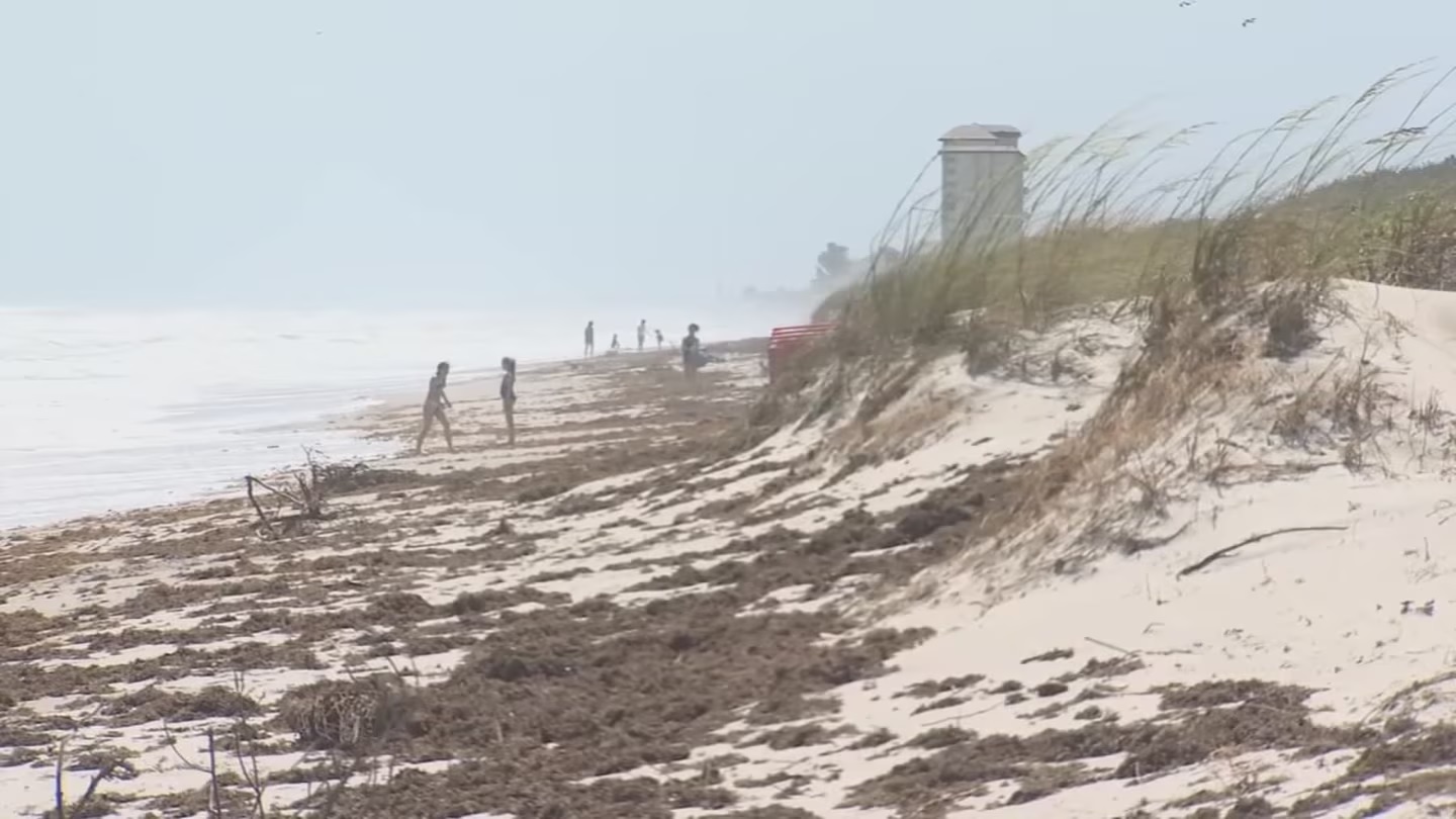 Brevard County breaks from beach renourishment project during coastal ...