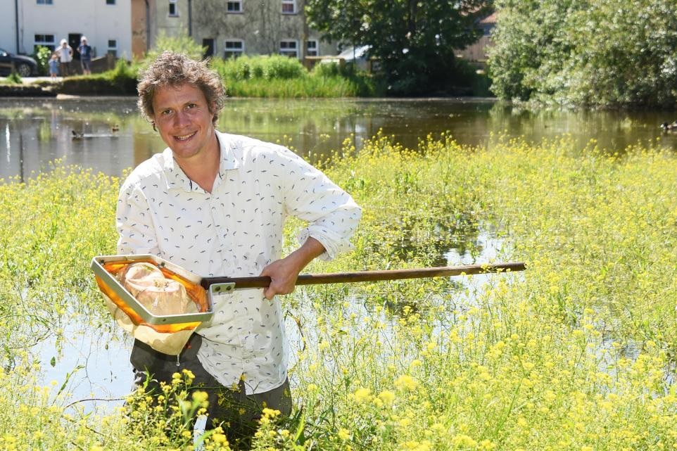 Dereham pond on Neatherd Moor thriving months after dredging ...