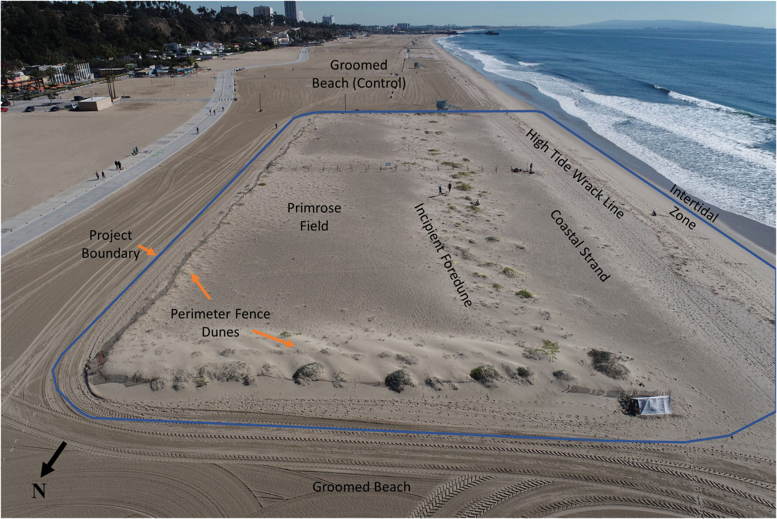 Coastal erosion could be reduced by dune restoration projects - DredgeWire : DredgeWire