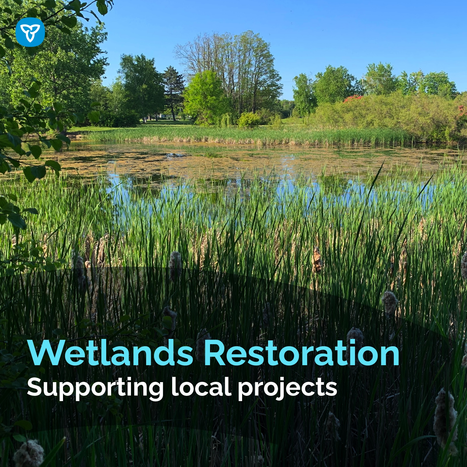 Ontario Making Historic Investments in Wetlands Restoration ...