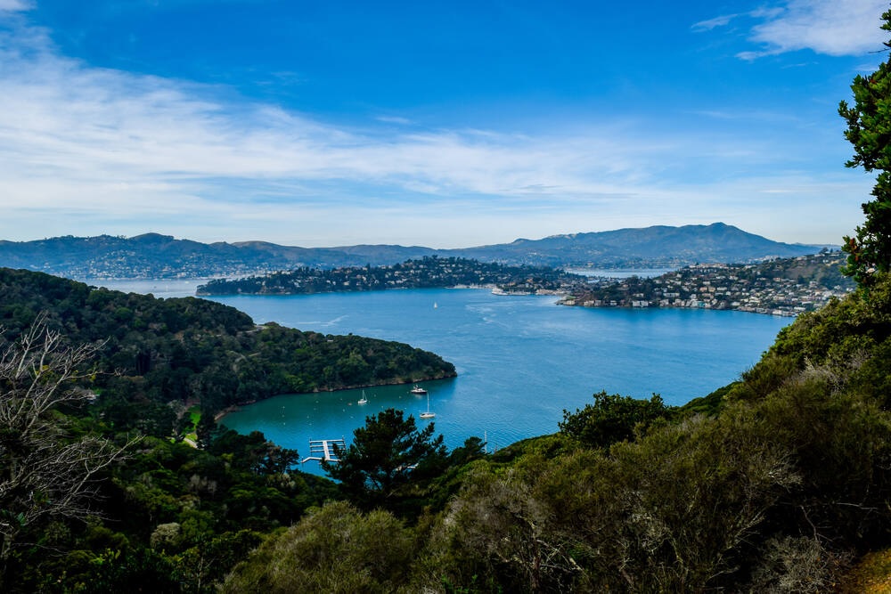 $52 million in new funding to restore San Francisco Bay - DredgeWire ...