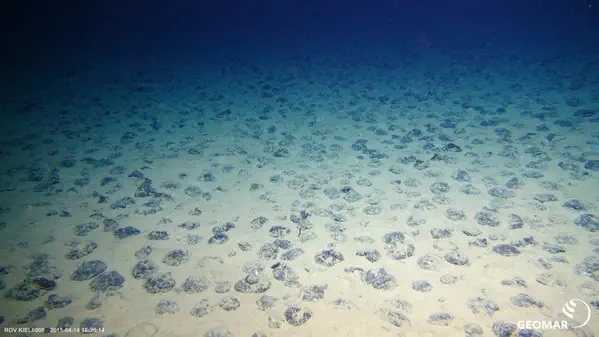 Fixing deep-sea mining damage would be double the cost of extraction ... Fixing deep-sea mining damage would be double the cost of extraction ...