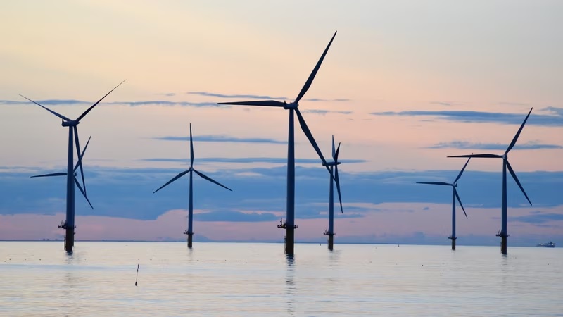 The dirty details of offshore wind’s ‘clean energy’ | Opinion ...