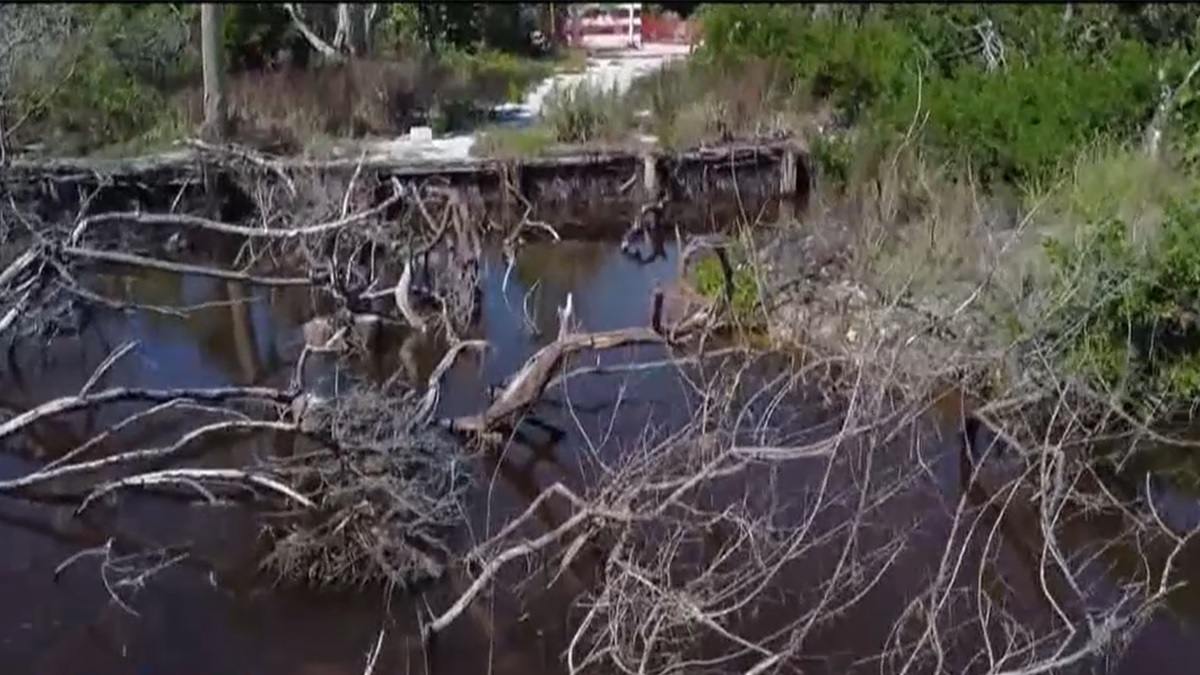 Lee County beaches receive funding for shoreline recovery projects ...