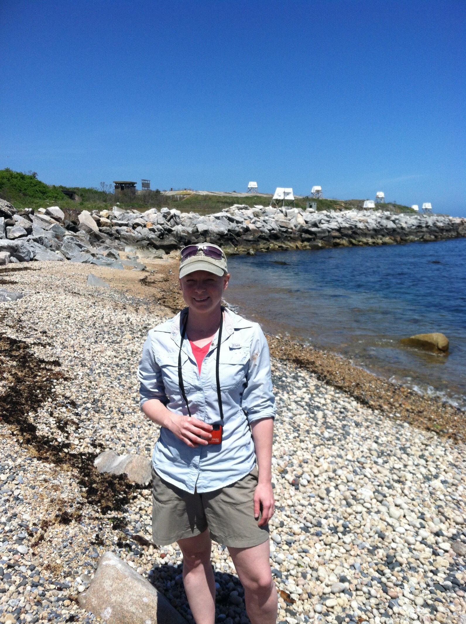 Victoria O'Neill Joins Audubon as Director of Coastal Resilience ...