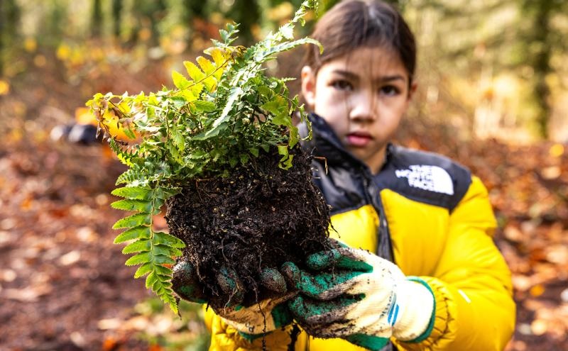 2023: Forging a Green Future, Step by Innovative Step - DredgeWire ...