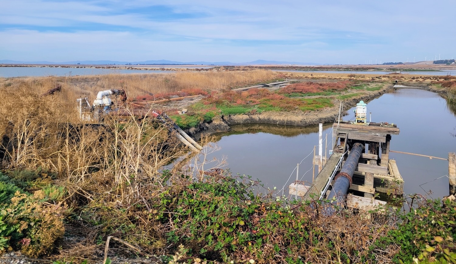 Dredging and dumping impact coastal fluxes of sediment and organic ...