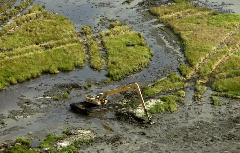 Largest marsh restoration in state history nears completion ...