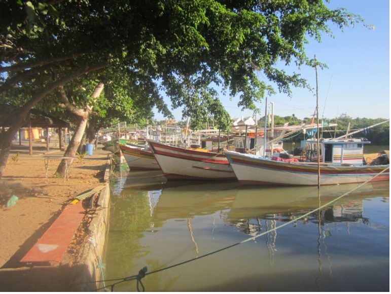 Women Organize to Fight Coastal Erosion in Southeastern Brazil ...