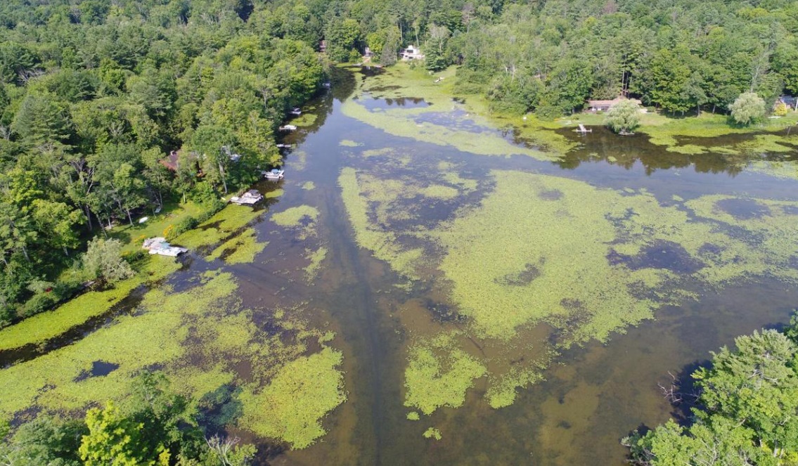 What's going on with the long-awaited dredging project at Stockbridge ...