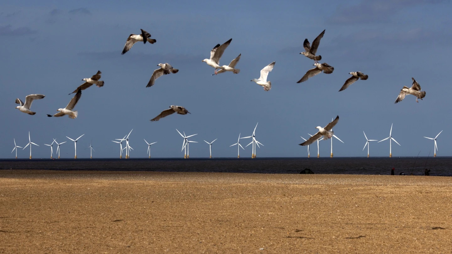 Offshore wind ambitions in disarray as key players walk - DredgeWire ...