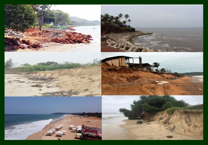 Sand nourishment, dune vegetation, and mangrove restoration recommended ...