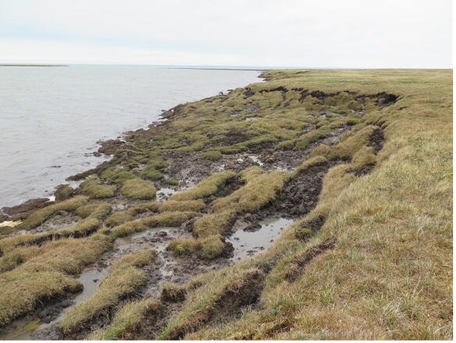 Florida's Coastline Is Shrinking Faster Than Expected - DredgeWire ...