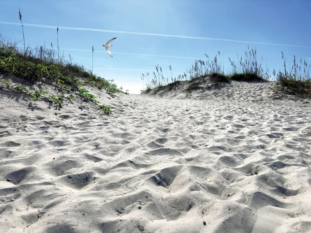 What Does Florida’s New Beach Access Law Mean? Progress but problems ...