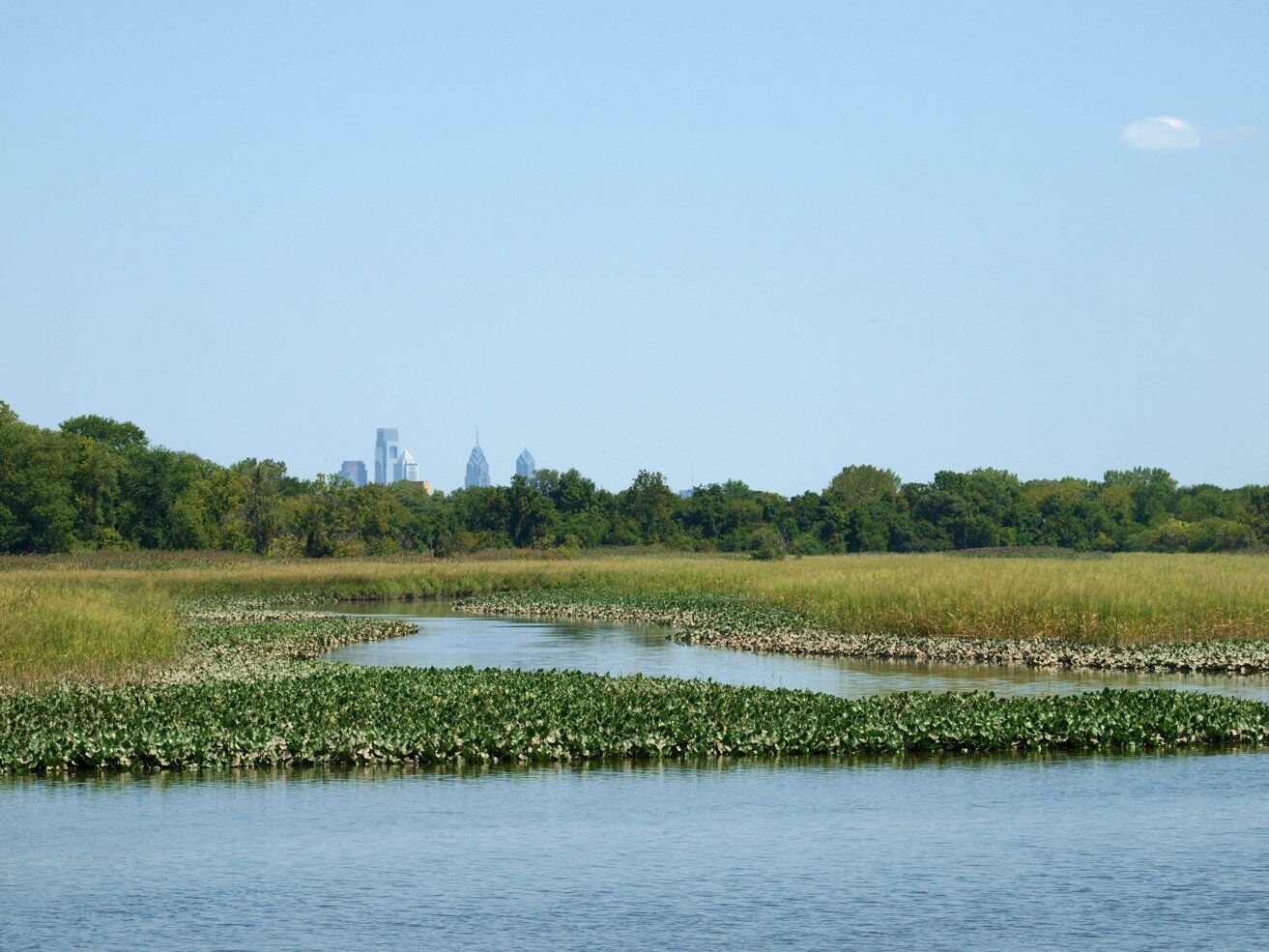Restoring Wetlands at Philadelphia's John Heinz National Wildlife ...