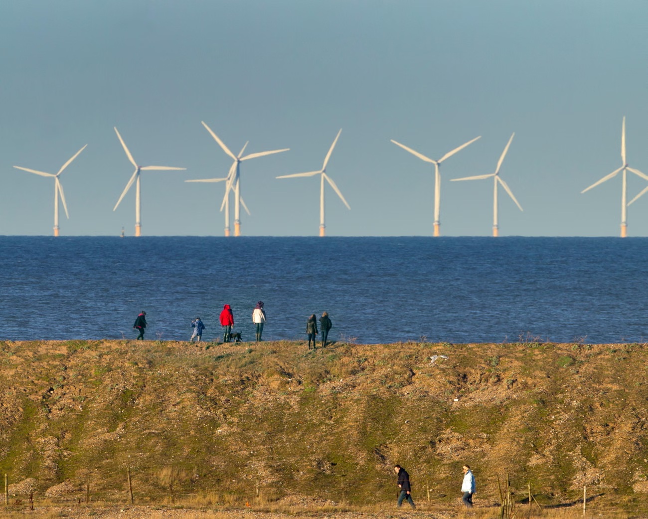UK among 10 countries to build 100GW wind power grid in North Sea ...
