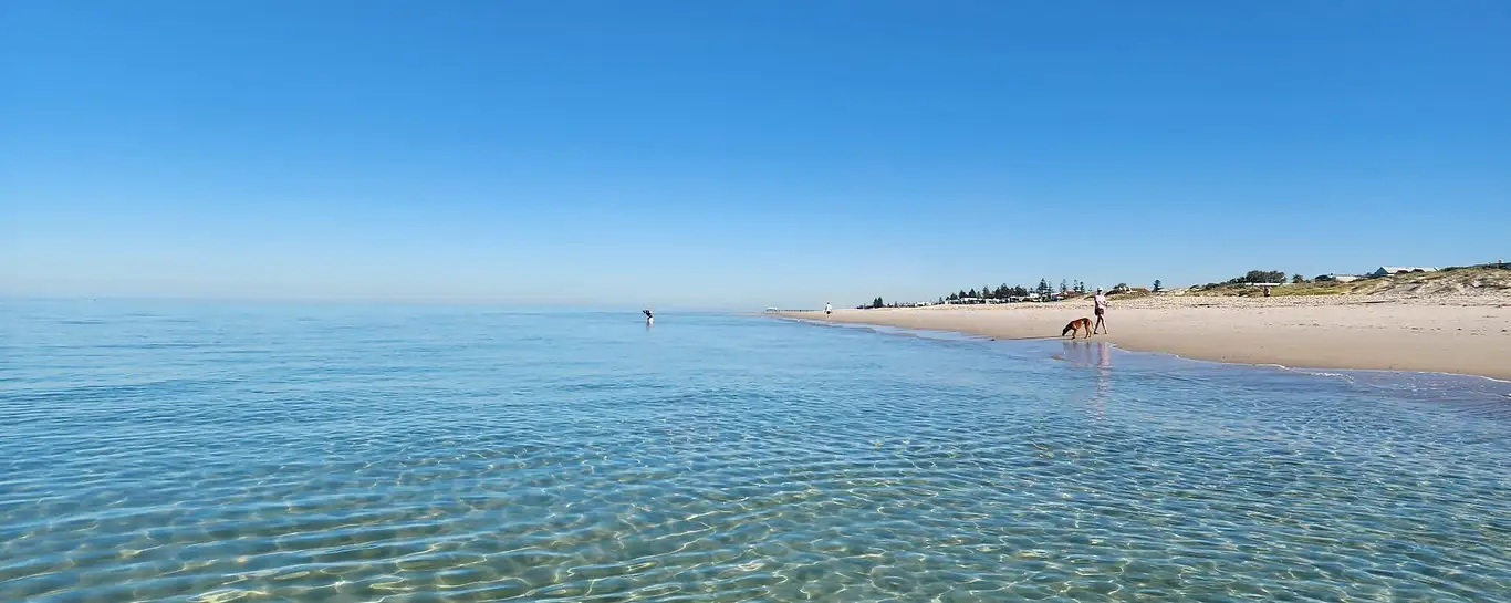 How we’re protecting and restoring Adelaide's metro beaches ...