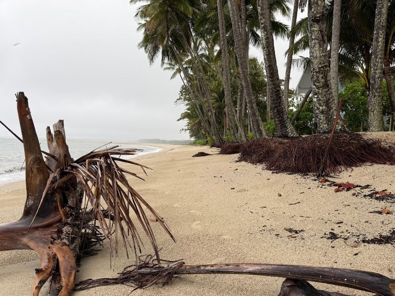 Coastal Rehabilitation Works at Newell Beach - DredgeWire : DredgeWire