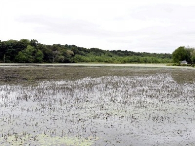 Yaphank Lake Draining Halted after Sediment Flows into Carmans River ...
